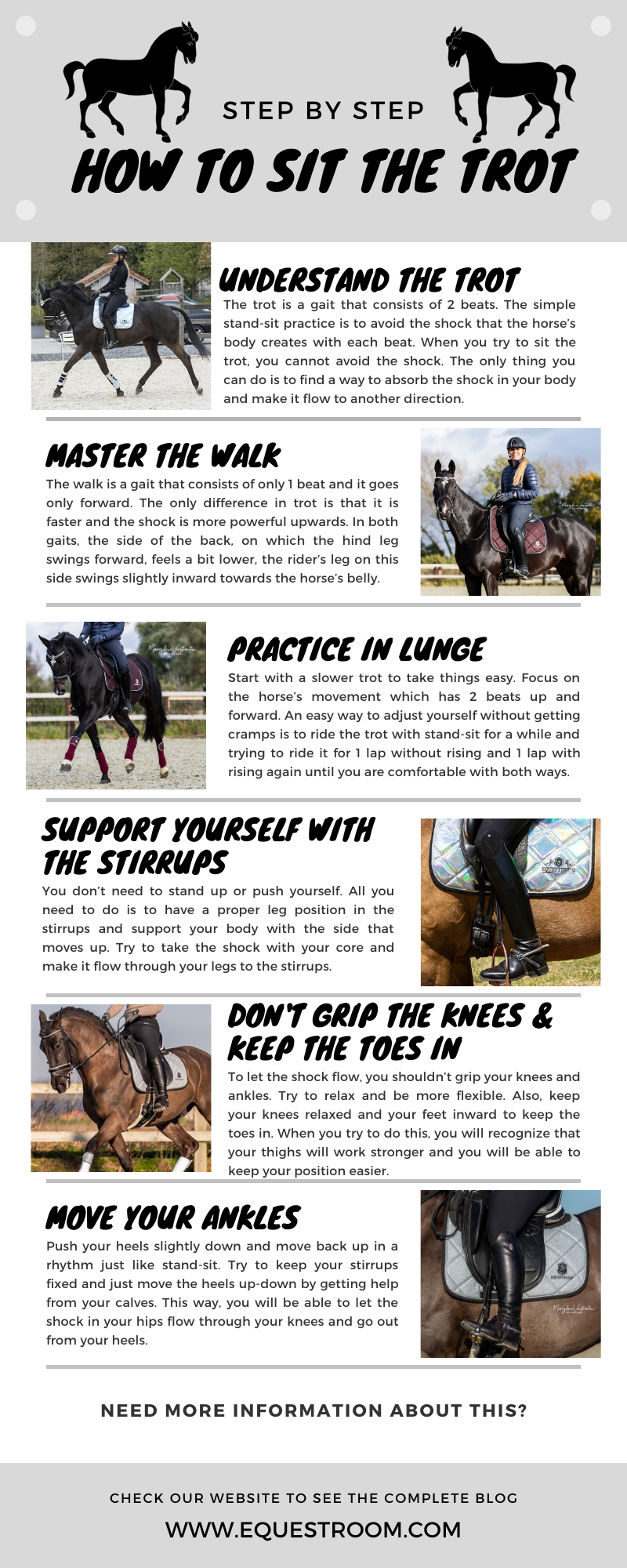 HOW TO SIT THE TROT (Infographics) – Equestroom