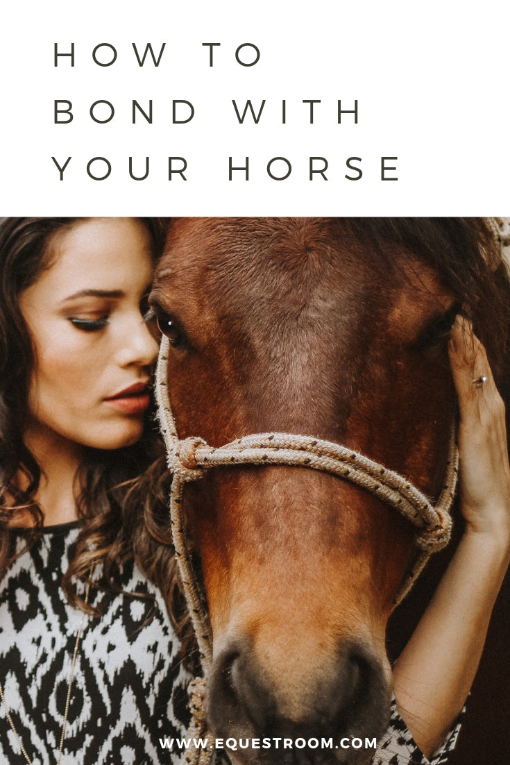 Equestrian Tips – Page 2 – Equestroom