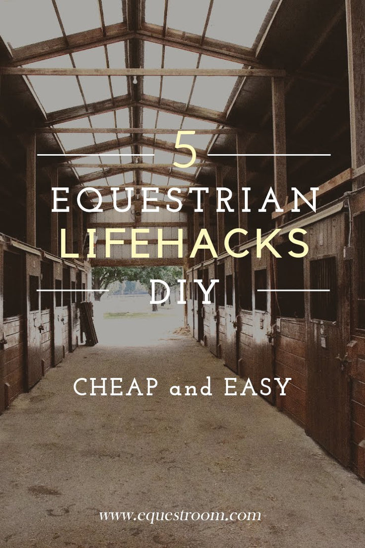 Equestrian Tips – Page 2 – Equestroom