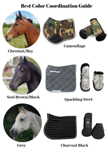 Equestrian Tips – Page 2 – Equestroom