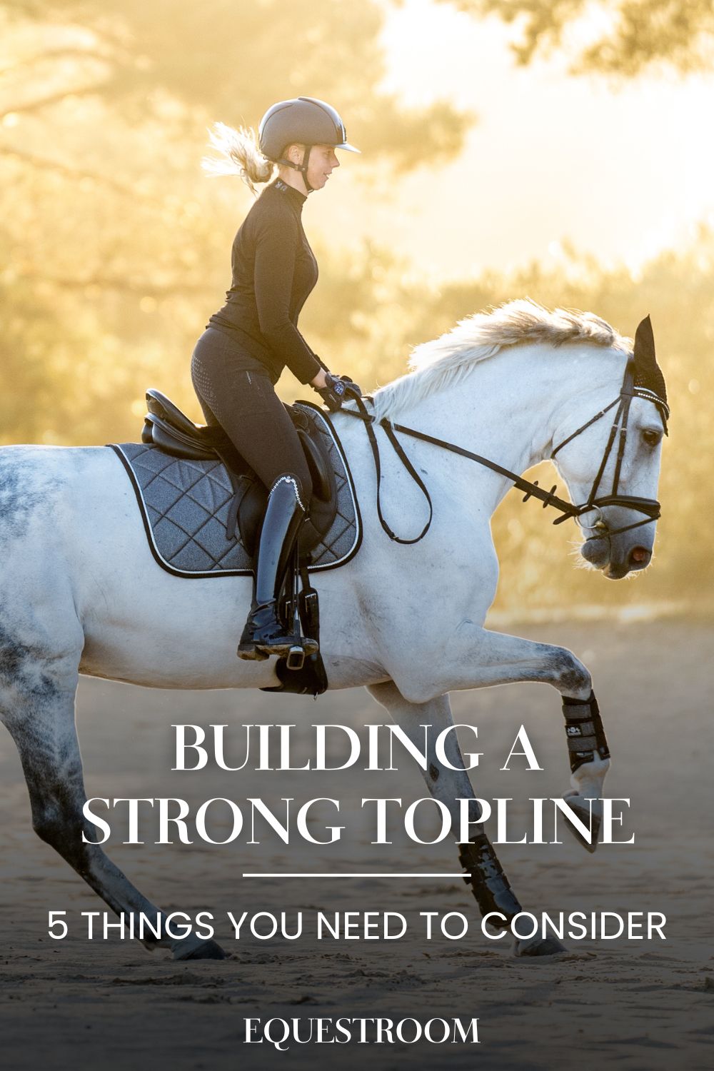BUILDING A STRONG TOPLINE – Equestroom