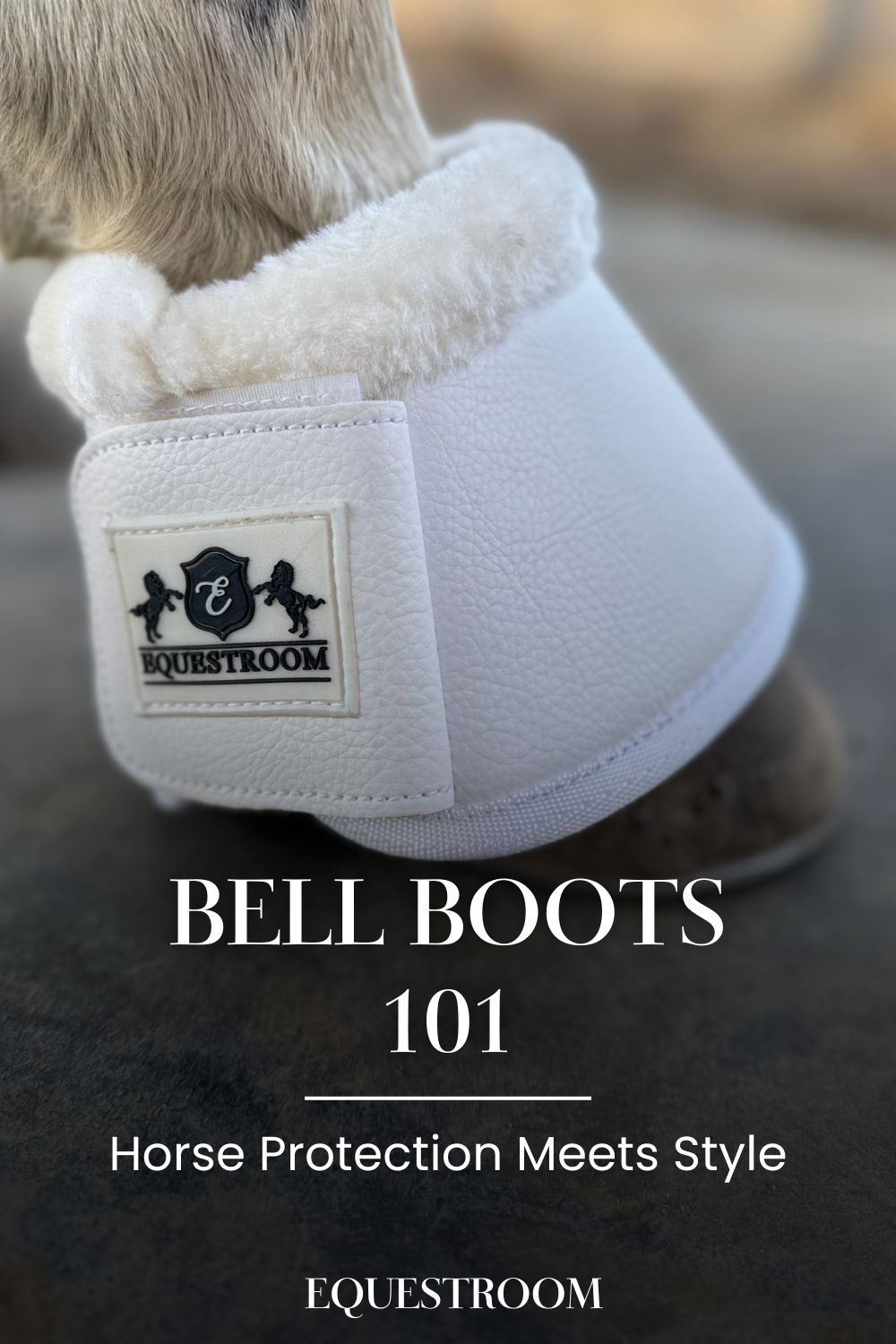 Bell Boots 101: Horse Protection Meets Style – Equestroom