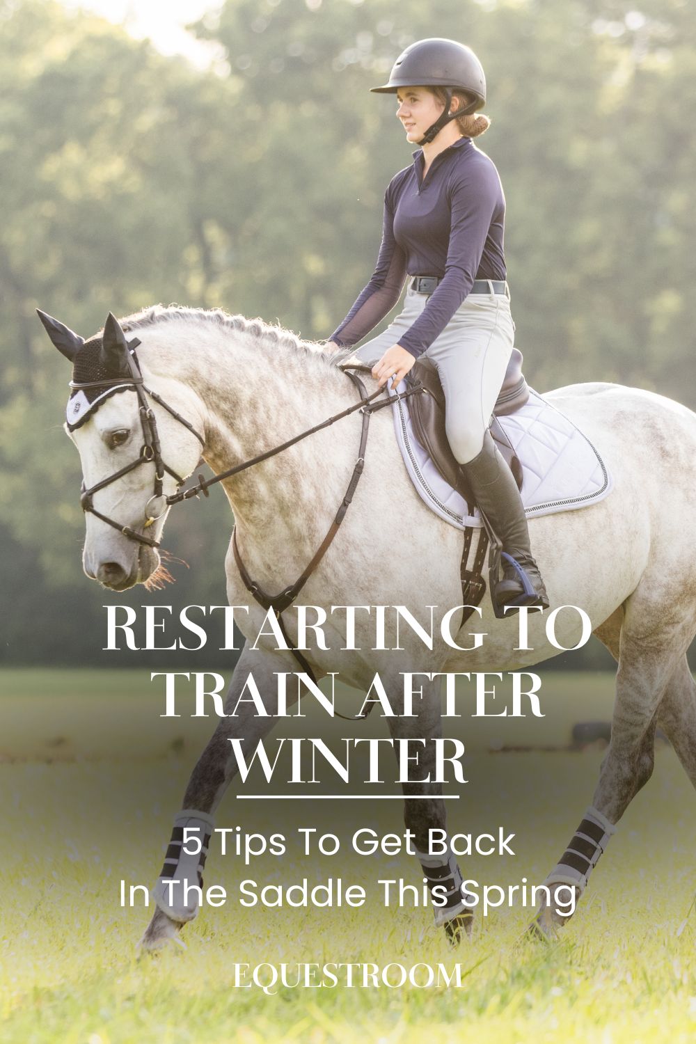 RESTARTING TO TRAIN IN SPRING – Equestroom