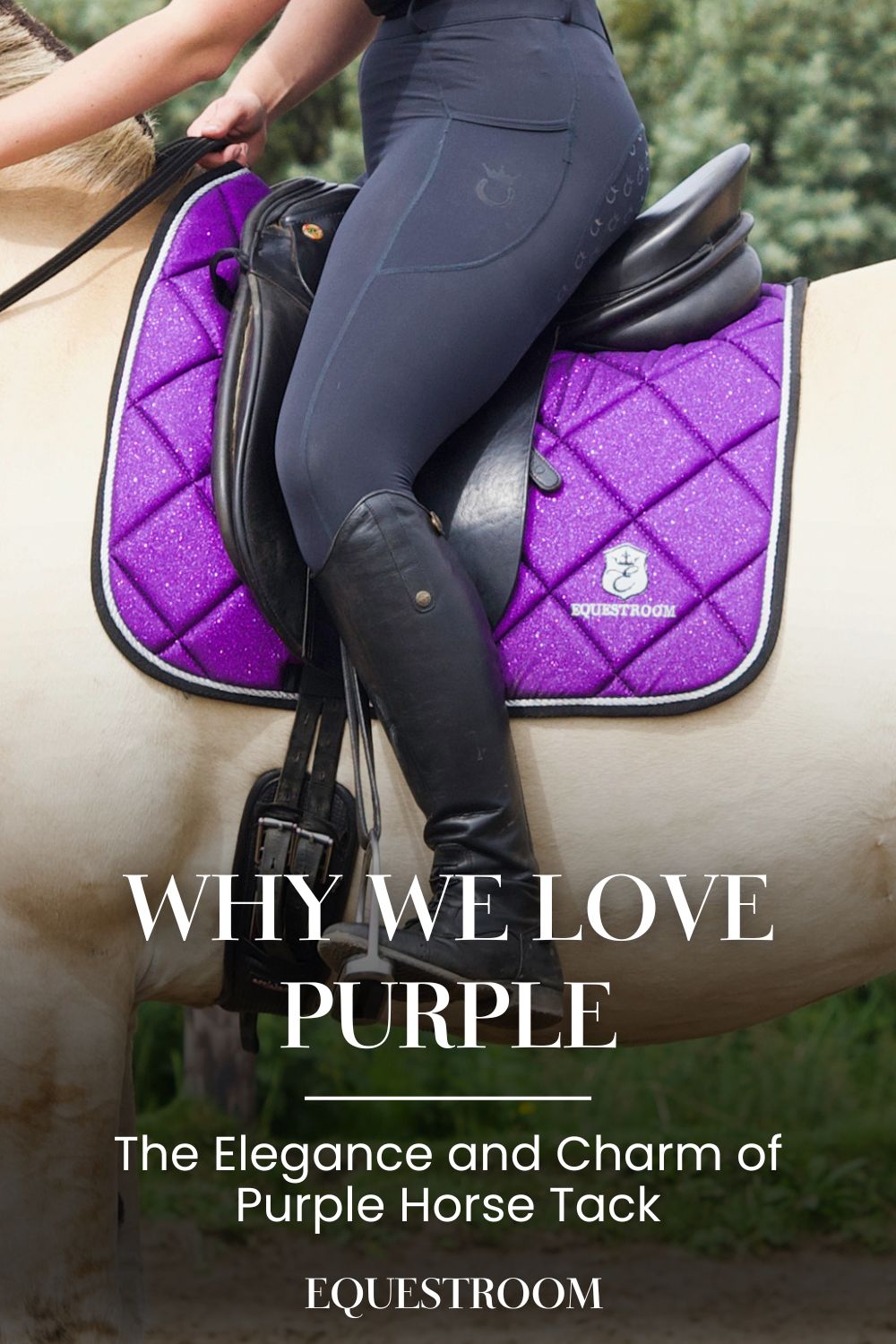 Why We Love Purple: The Elegance and Charm of Purple Horse Tack ...