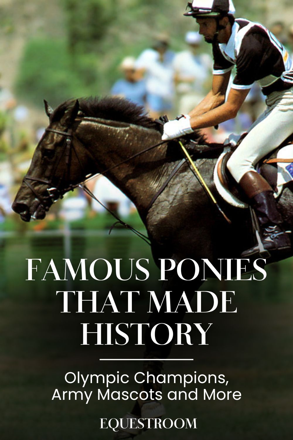Famous Ponies That Made History – Equestroom