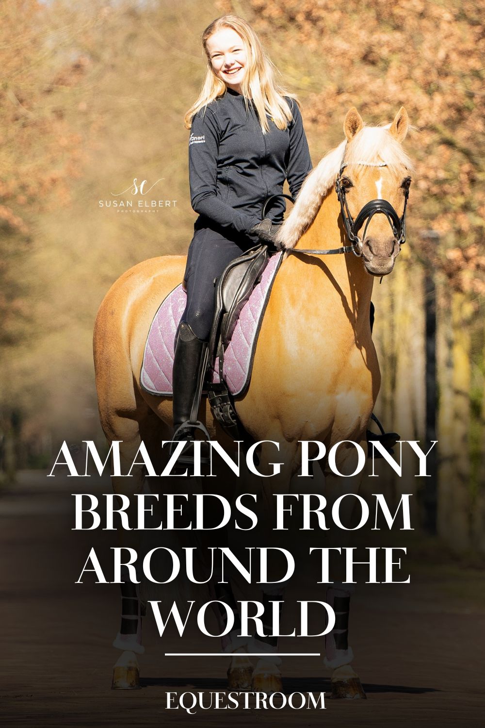 Amazing Pony Breeds from Around the World – Equestroom