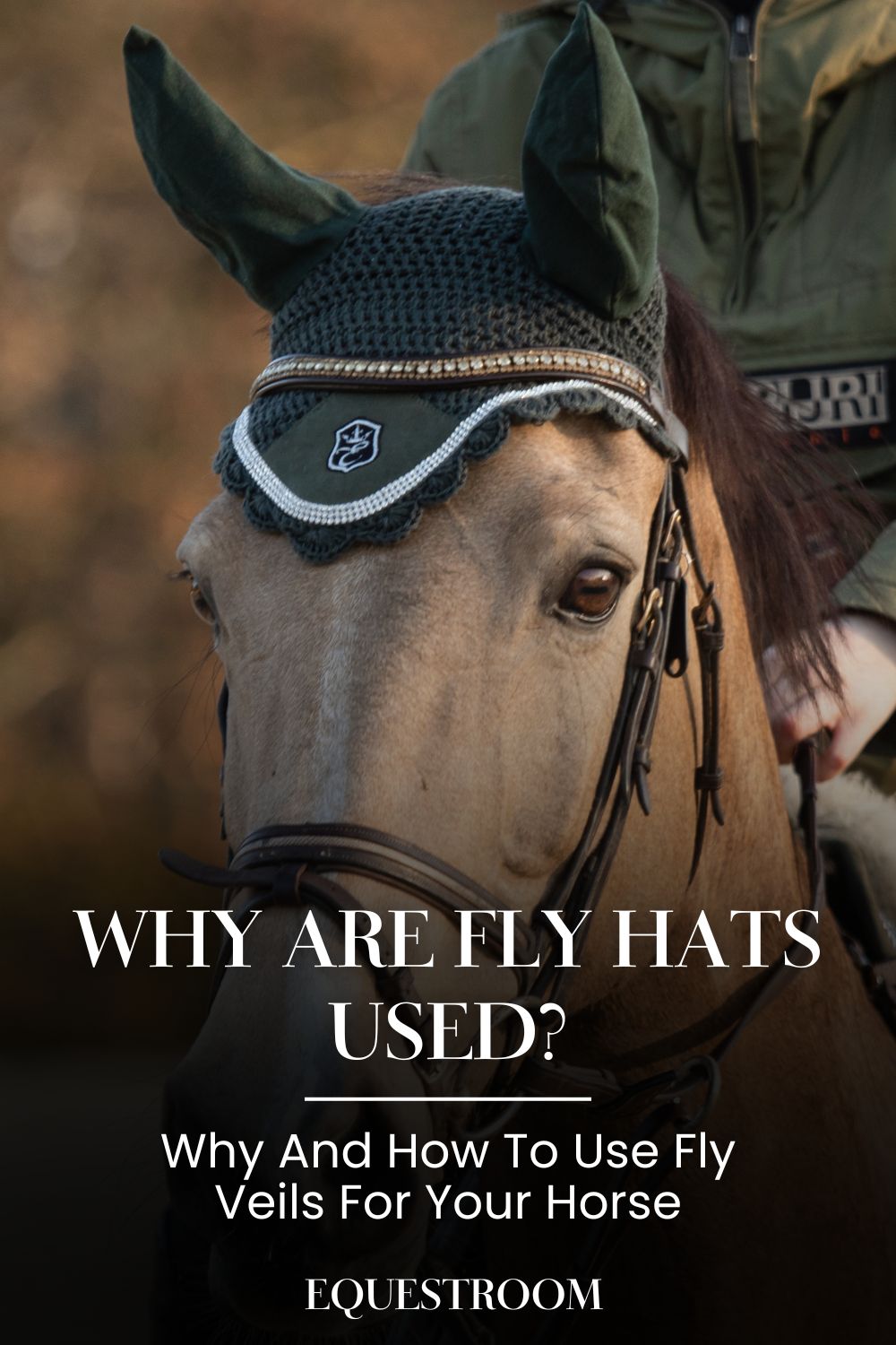 Why Are Fly Hats Used? – Equestroom