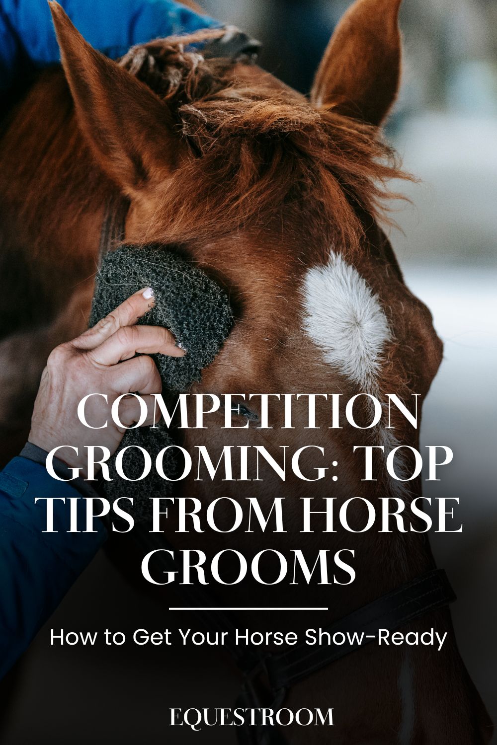 Competition Grooming: Top Tips from Horse Grooms to Get Your Horse Sho ...
