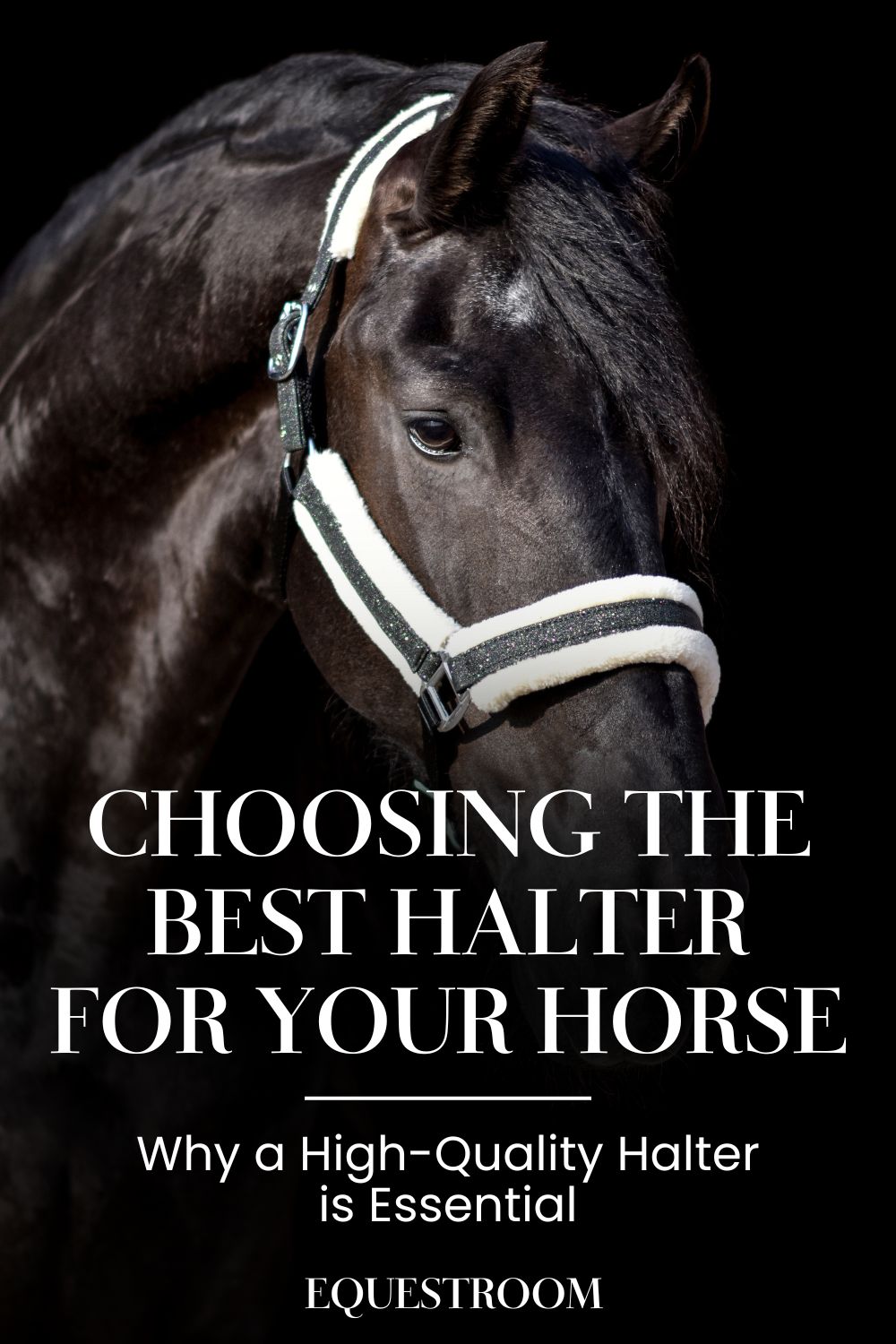 The Ultimate Guide to Choosing the Best Halter for Your Horse – Equestroom