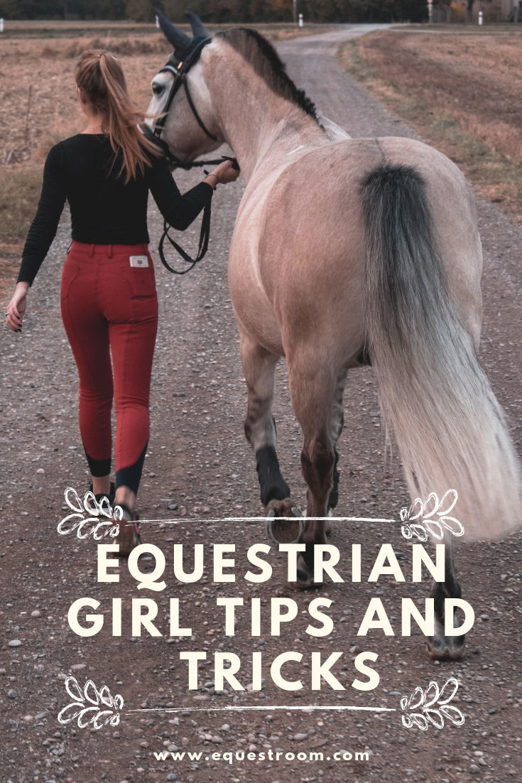 Equestrian Tips – Page 2 – Equestroom