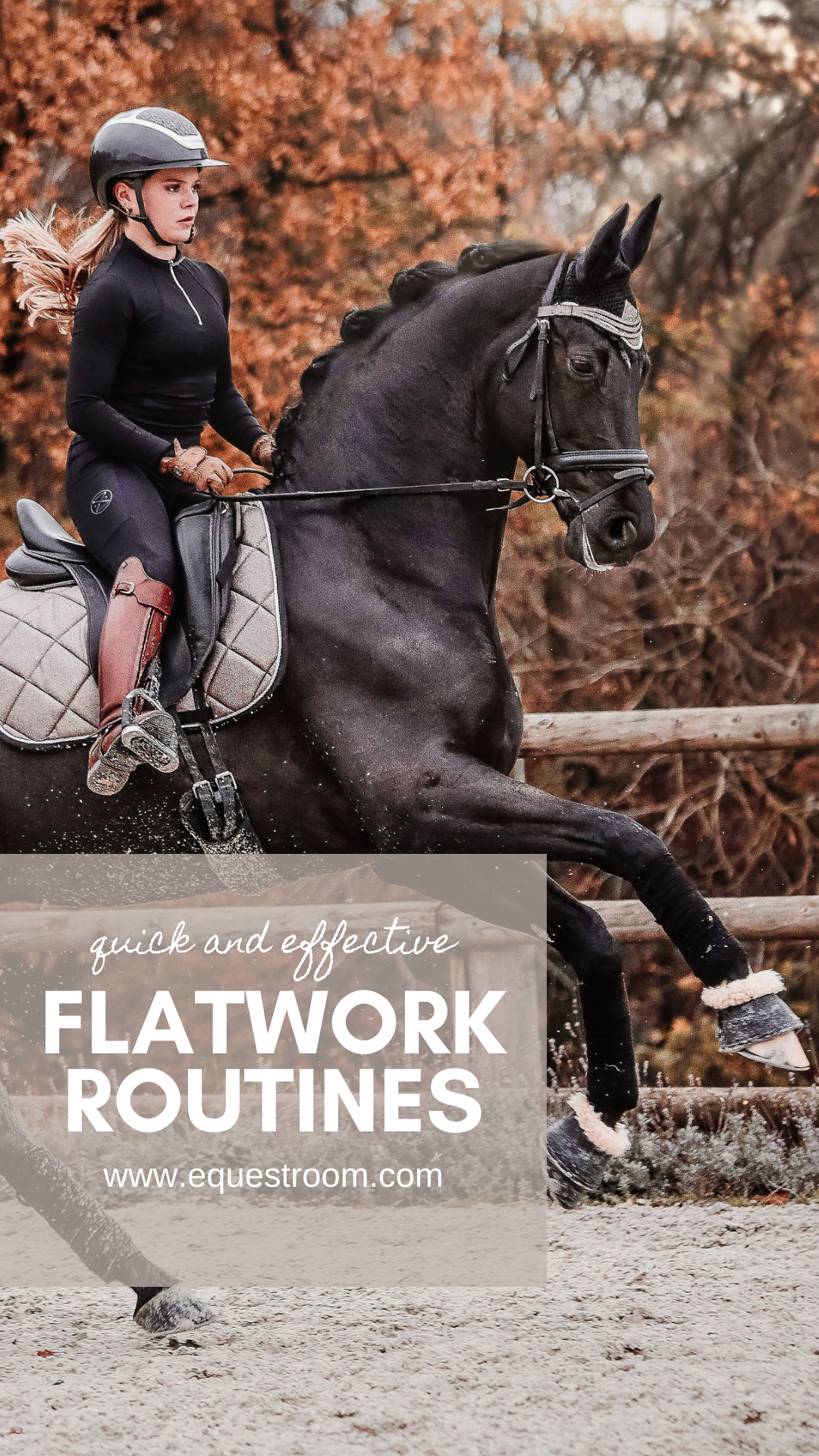 QUICK FLATWORK ROUTINES – Equestroom