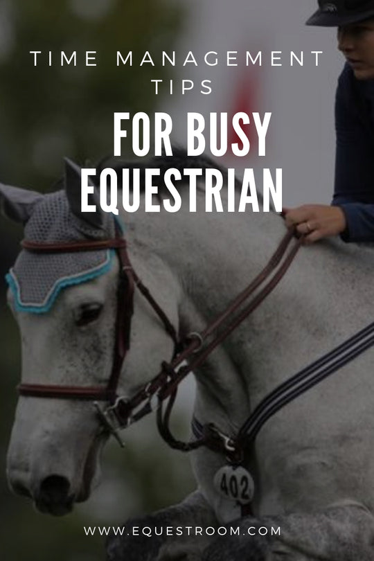 Equestrian Tips – Page 2 – Equestroom