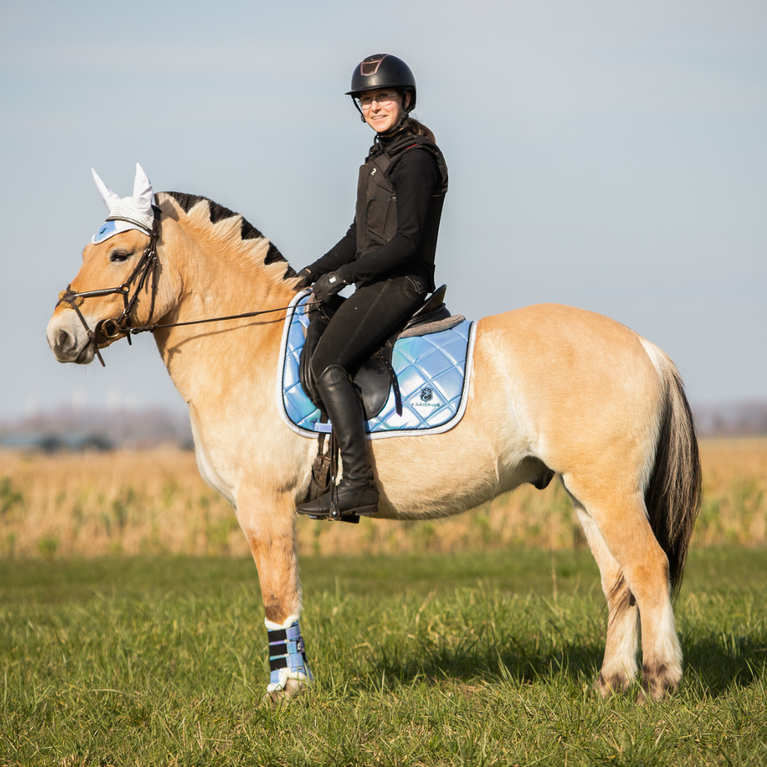 Online shop for Horse Tack, Riding Apparel, Equestrian Equipment ...
