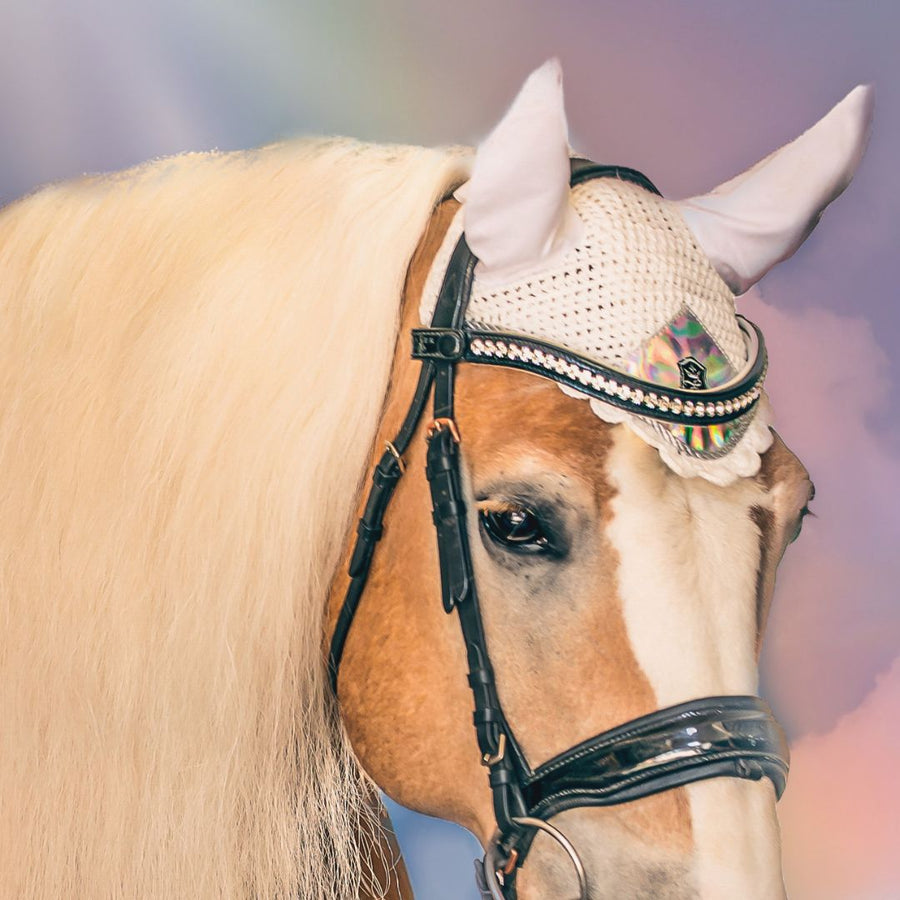 Holographic Fly Hat – Equestroom