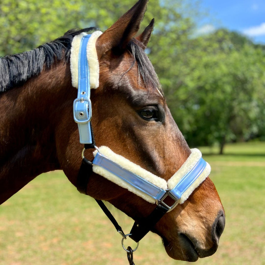 Halters – Equestroom