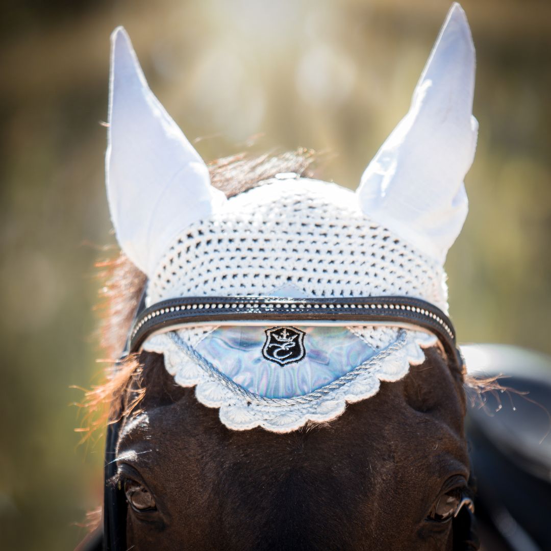 Holographic Fly Hat – Equestroom