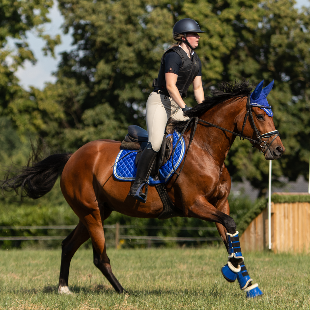 Online shop for Horse Tack, Riding Apparel, Equestrian Equipment ...