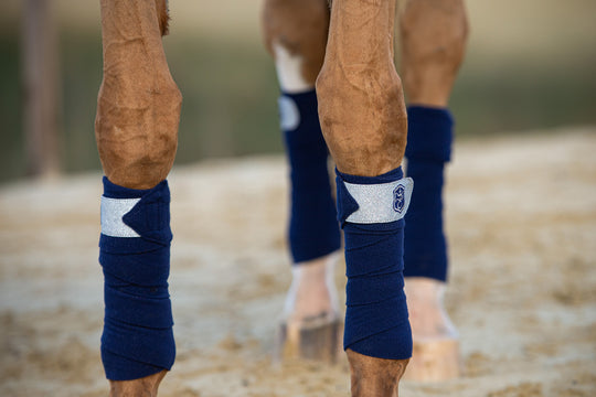 Highest Quality Polo Wraps for Horses – Equestroom