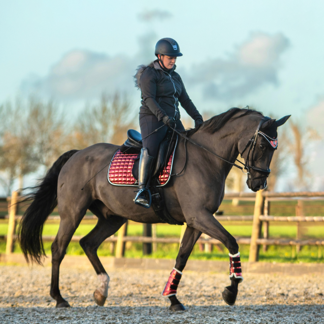 Online shop for Horse Tack, Riding Apparel, Equestrian Equipment ...