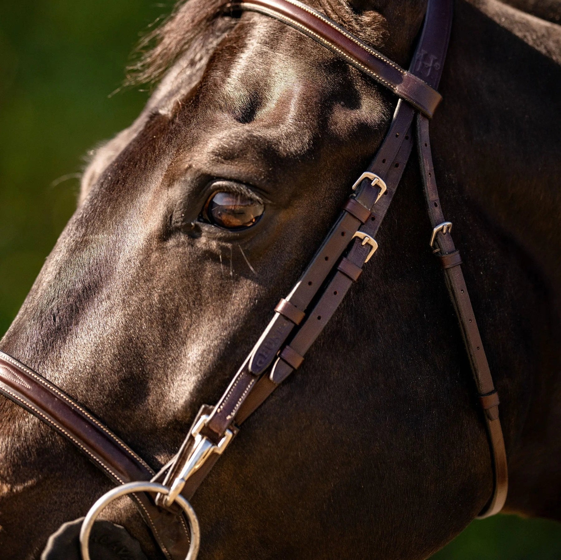 Equestrian Fancy Stitched Bridle with Cheek Clips and Reins – Equestroom