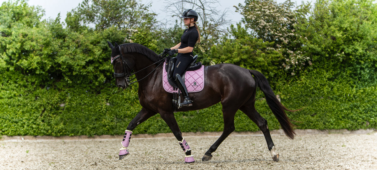 Online shop for Horse Tack, Riding Apparel, Equestrian Equipment ...