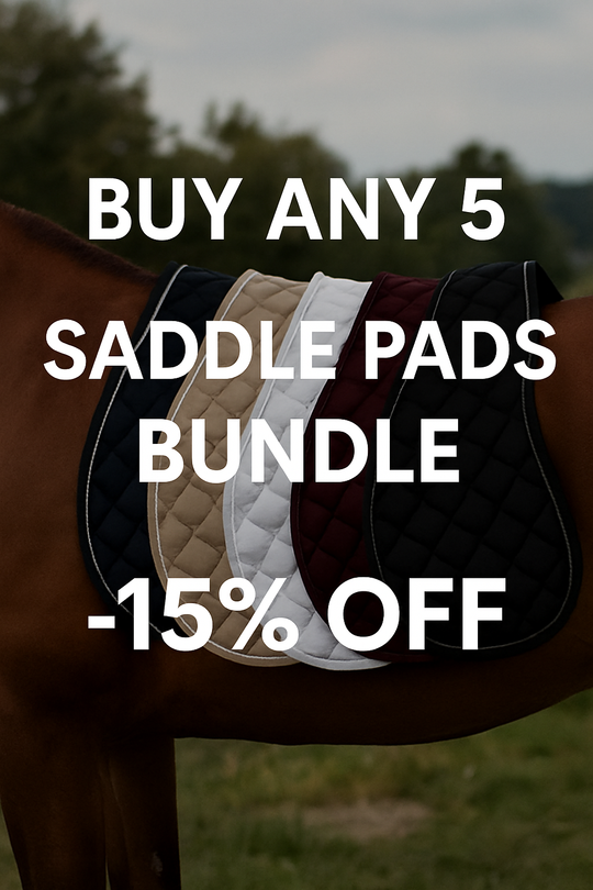 EQUESTRIAN COLOR COORDINATION GUIDE – Equestroom