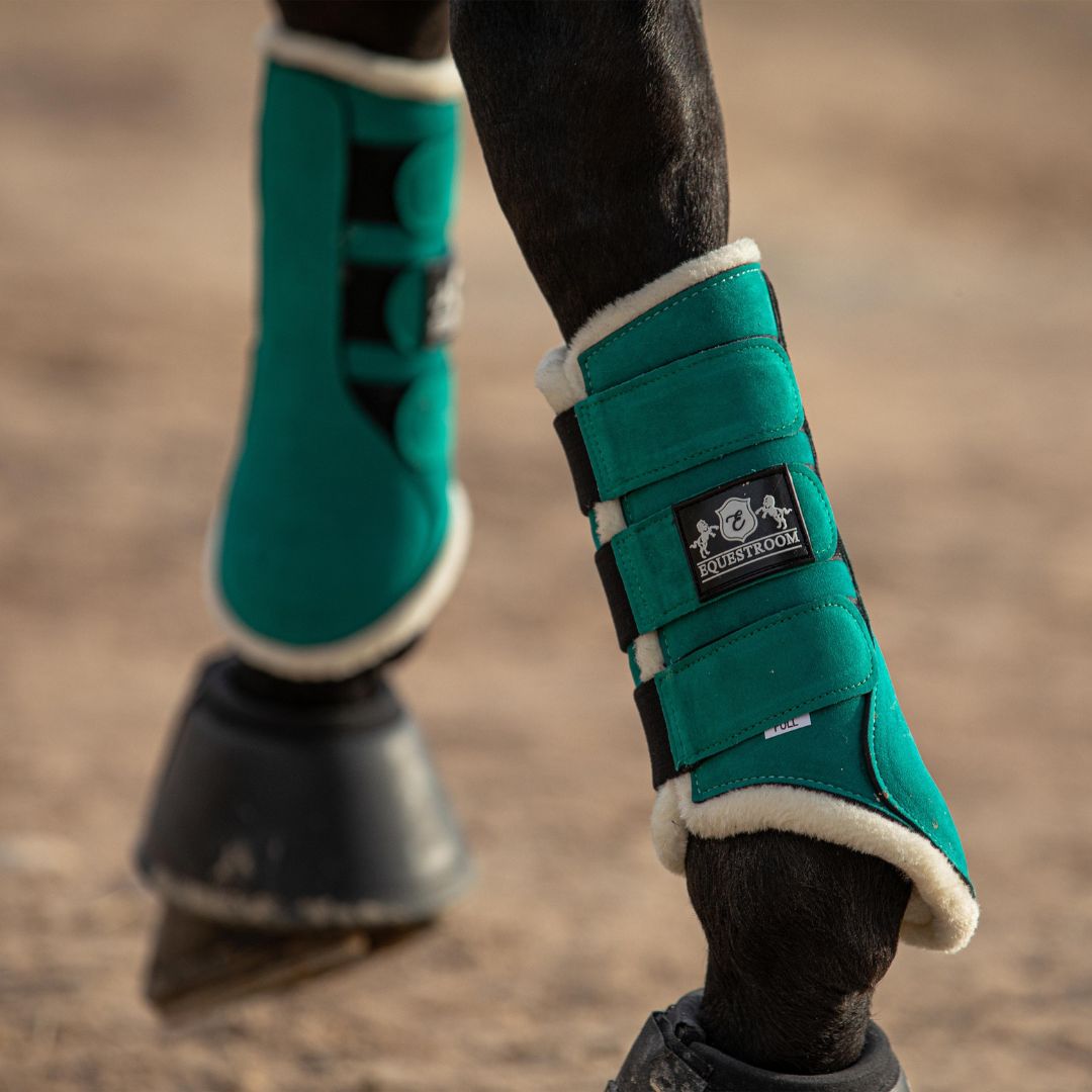 Online shop for Horse Tack, Riding Apparel, Equestrian Equipment ...