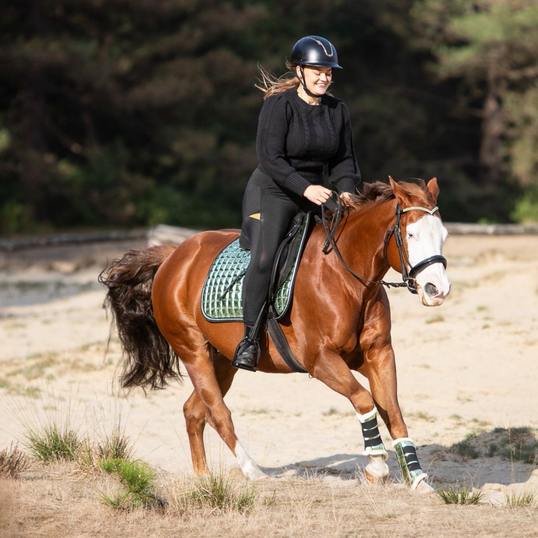 Online shop for Horse Tack, Riding Apparel, Equestrian Equipment ...