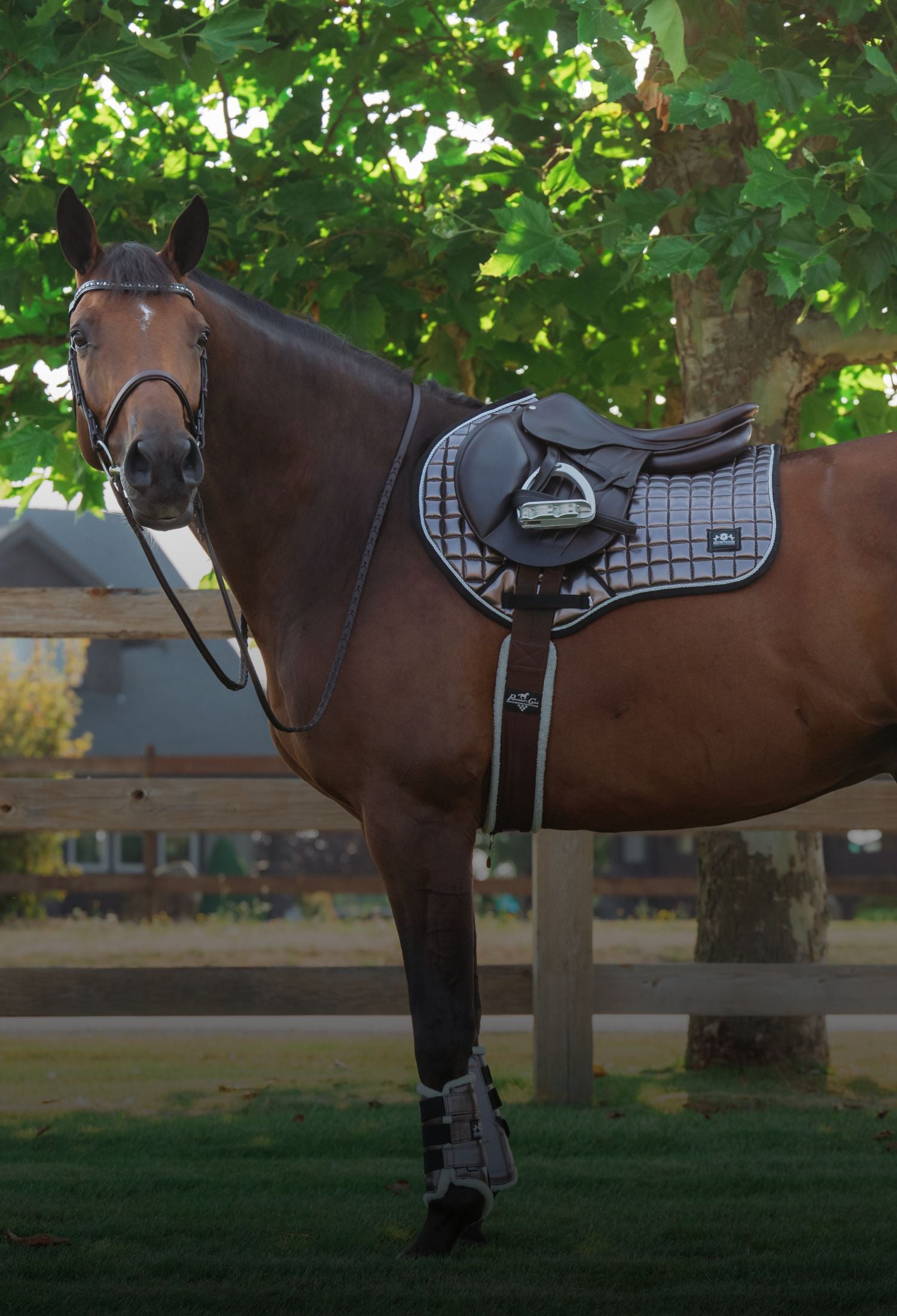 Online shop for Horse Tack, Riding Apparel, Equestrian Equipment ...