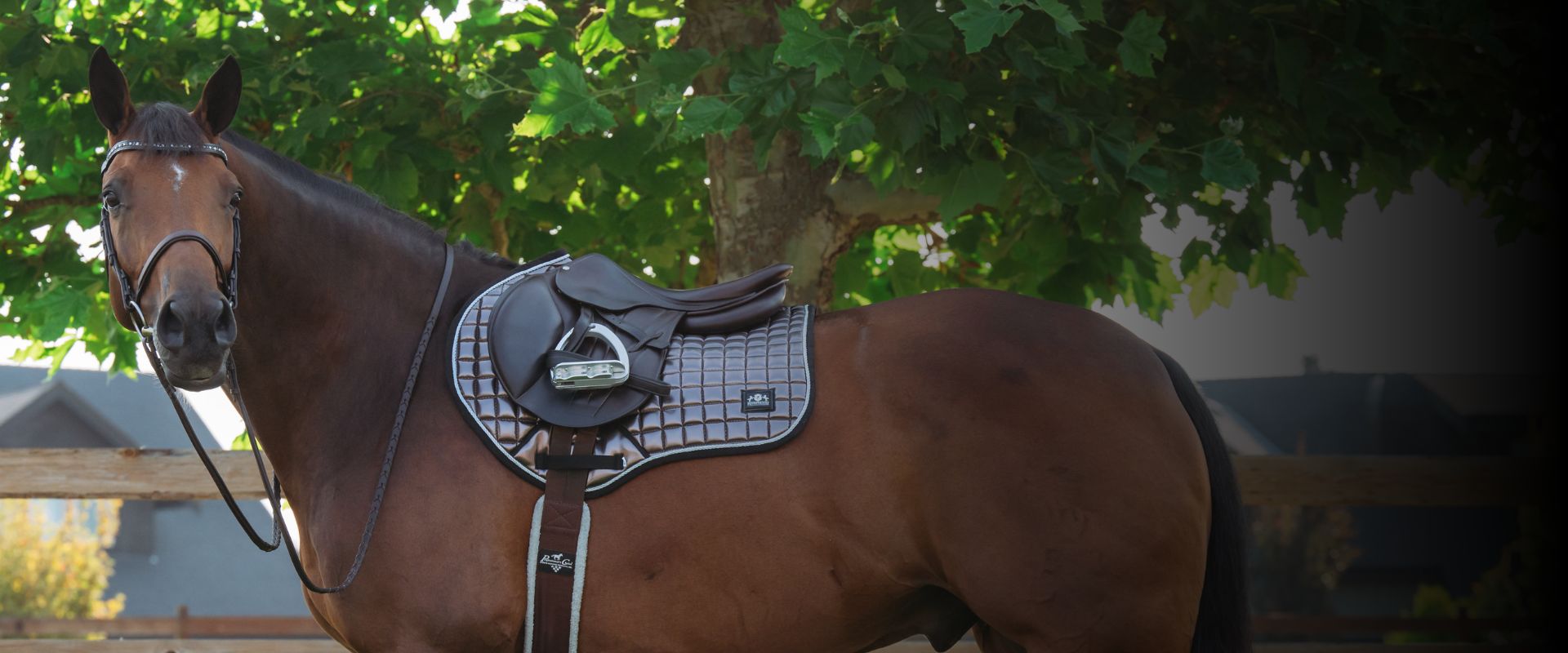 Online shop for Horse Tack, Riding Apparel, Equestrian Equipment ...