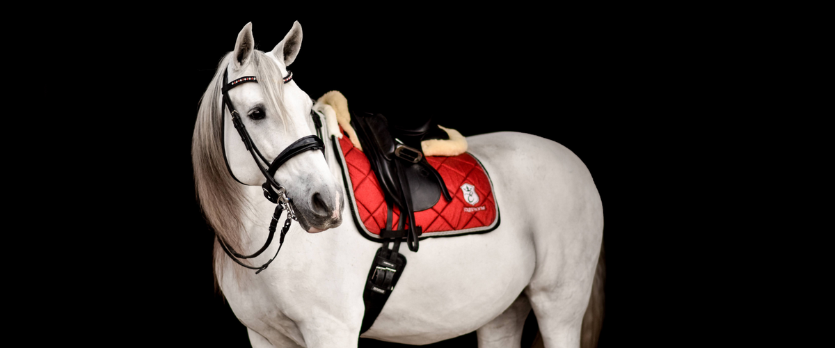 Online shop for Horse Tack, Riding Apparel, Equestrian Equipment ...