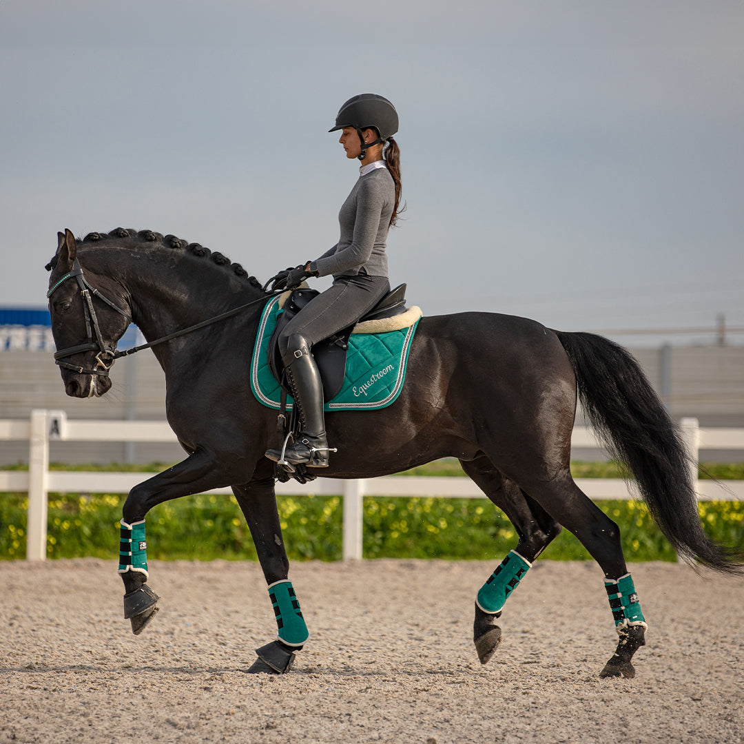 Online shop for Horse Tack, Riding Apparel, Equestrian Equipment ...