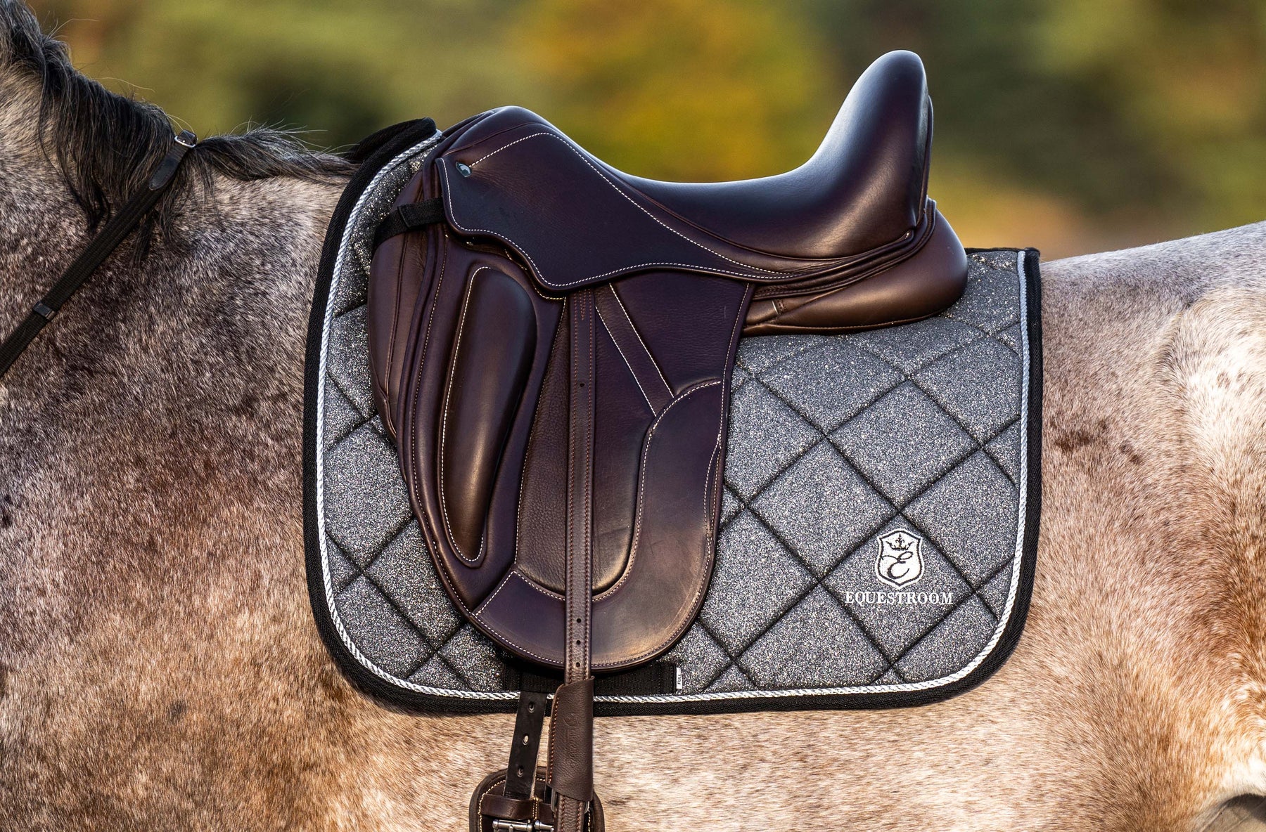 Stardust Grey Saddle Pad – Equestroom