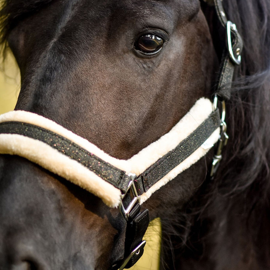 Halters – Equestroom