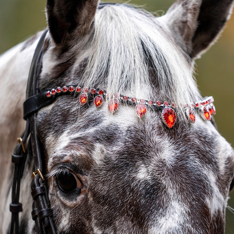 Scarlet Red Browband – Equestroom