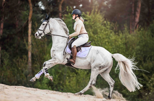 Stylish Matchy Saddle Pad Sets – Page 2 – Equestroom